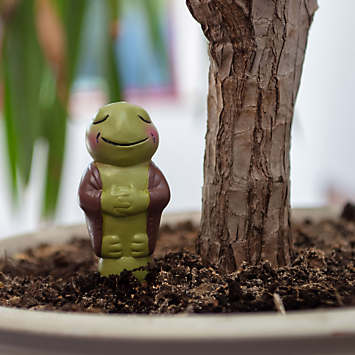 Grow with the Flow Toad Watering Spike | Look Again