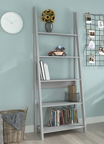 Tiva Grey Ladder Bookcase | Look Again