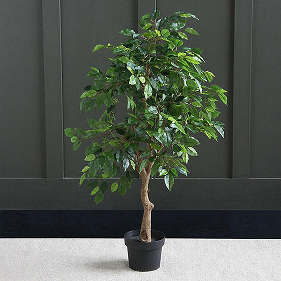 Artificial/Faux Classic Ficus Tree | Look Again