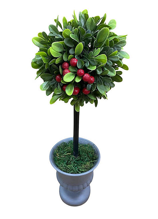 Boxwood Berry Topiary by Snowtime | Look Again