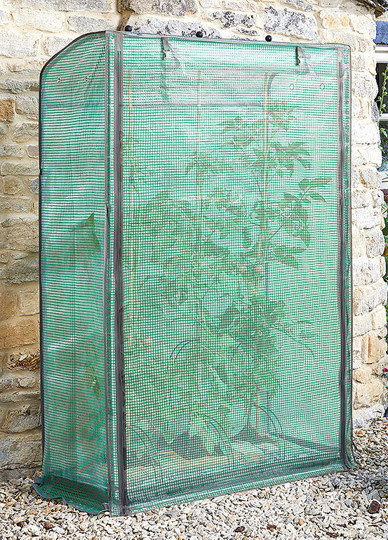 Tomato Grozone by Smart Garden | Look Again